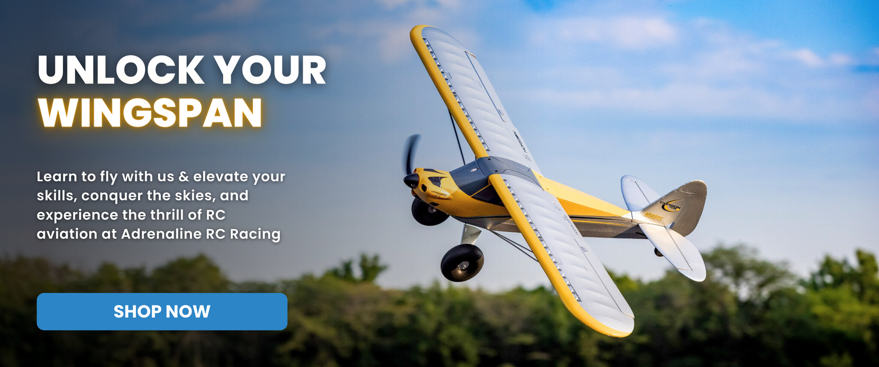 Remote & Radio Control Racing Cars & Trucks & Drift Tracks